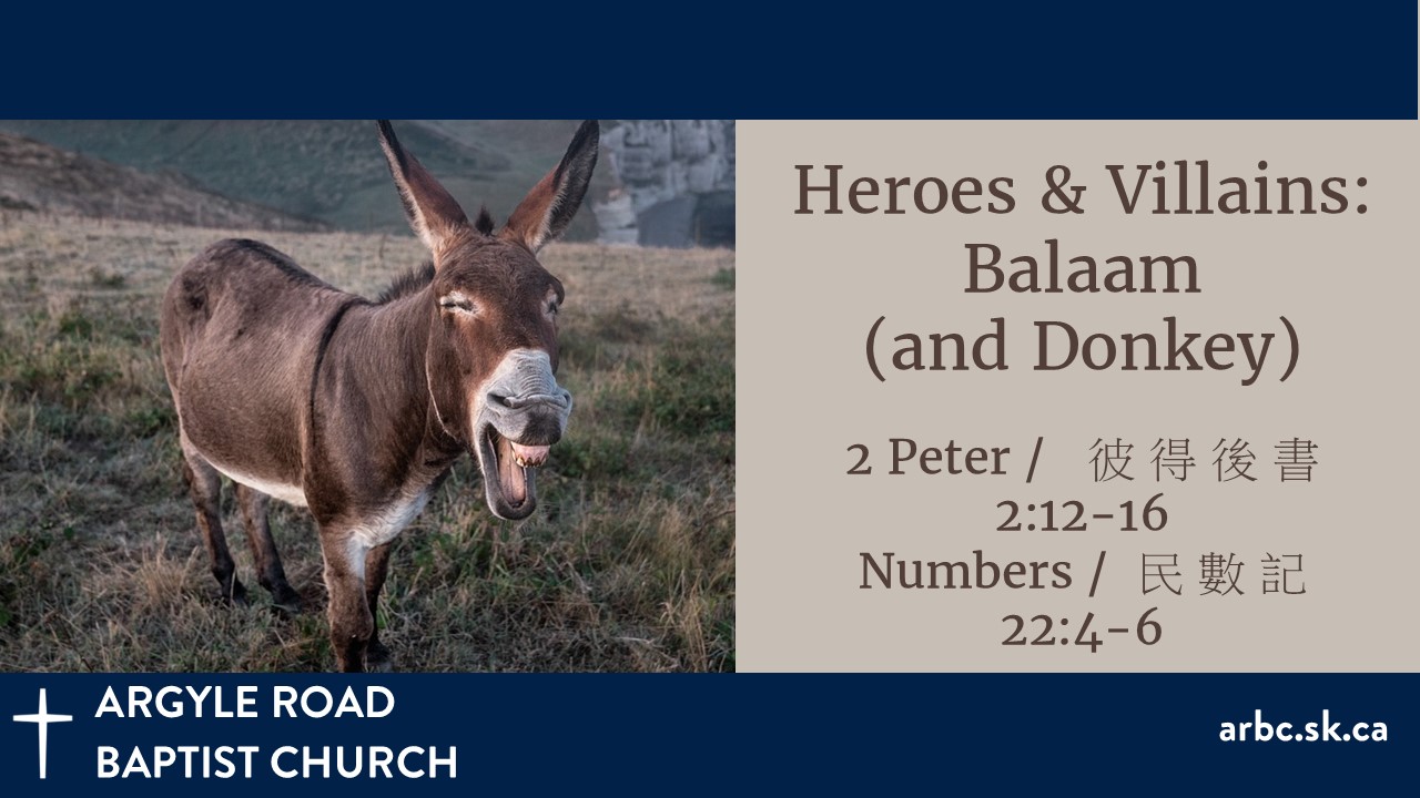 Heroes and Villains: Balaam (and his Donkey) – Argyle Road Baptist Church